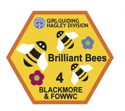 Challenge Badges – Girlguiding Worcestershire County